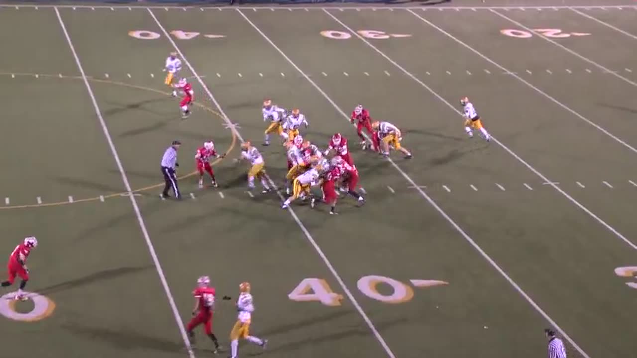 vs. Semifinals - WIAA State Playoffs - SHANE ZELINSKI highlights - Hudl