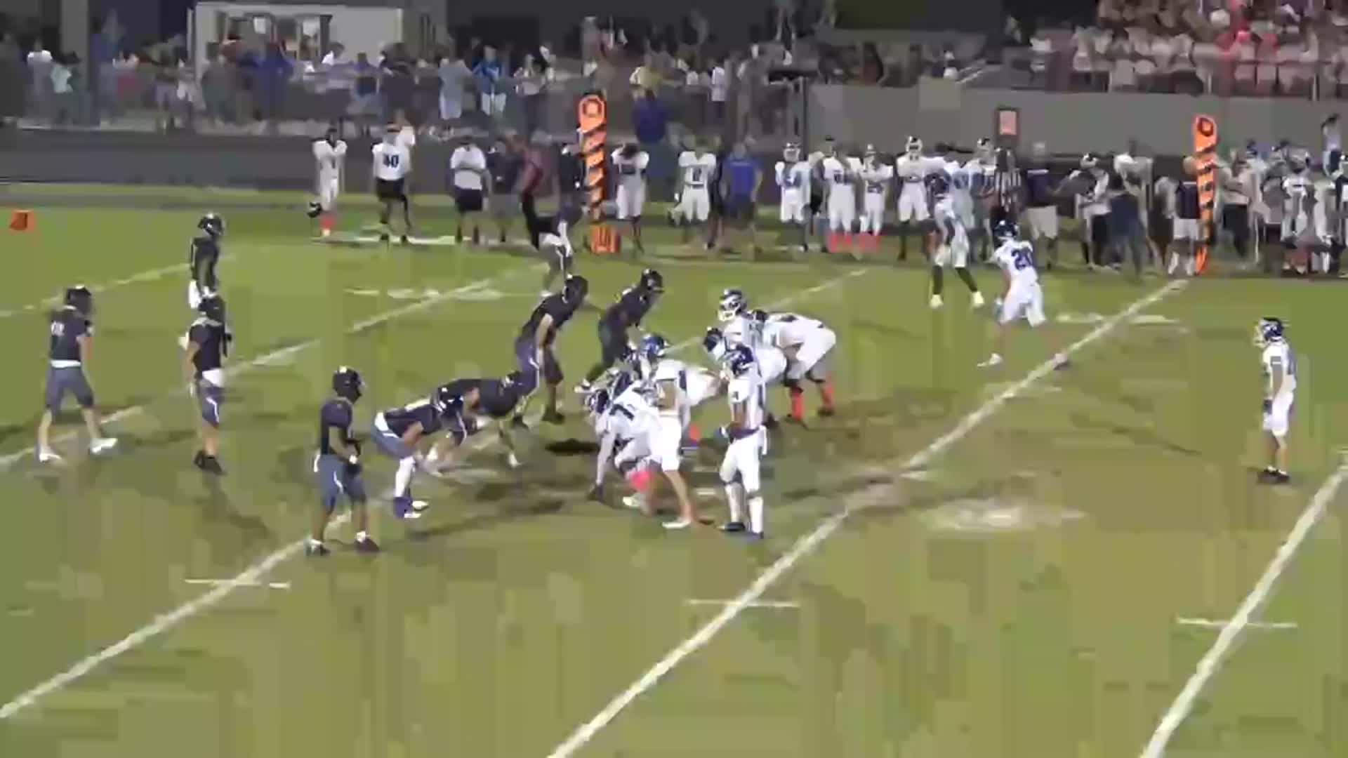 Palm Harbor University High School - Will Mirabella highlights - Hudl