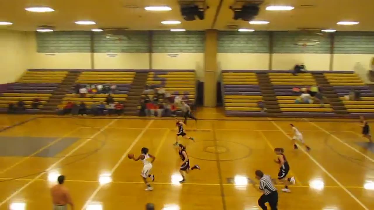 vs. Bridgman - Alaina Johnson highlights - Hudl