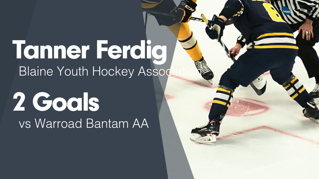 2 Goals vs Warroad Bantam AA - Tanner Ferdig highlights - Hudl