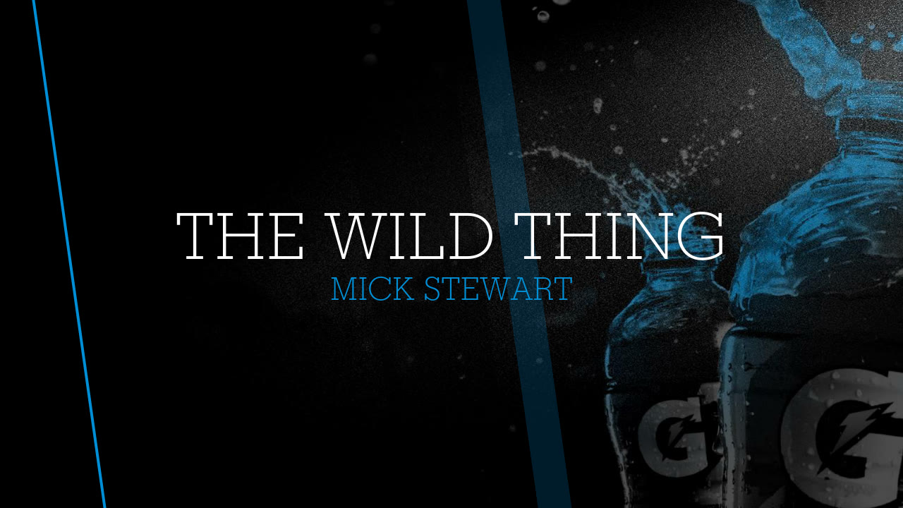 The WIld Thing - Mick Stewart highlights - Hudl